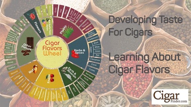 Developing A Taste For Cigars - Learning About Cigar Flavors